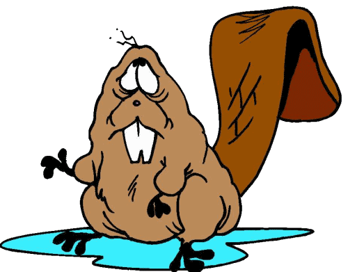 Bobry: obrazki ruchome, animowane gify i animacje - 100% DARMO!